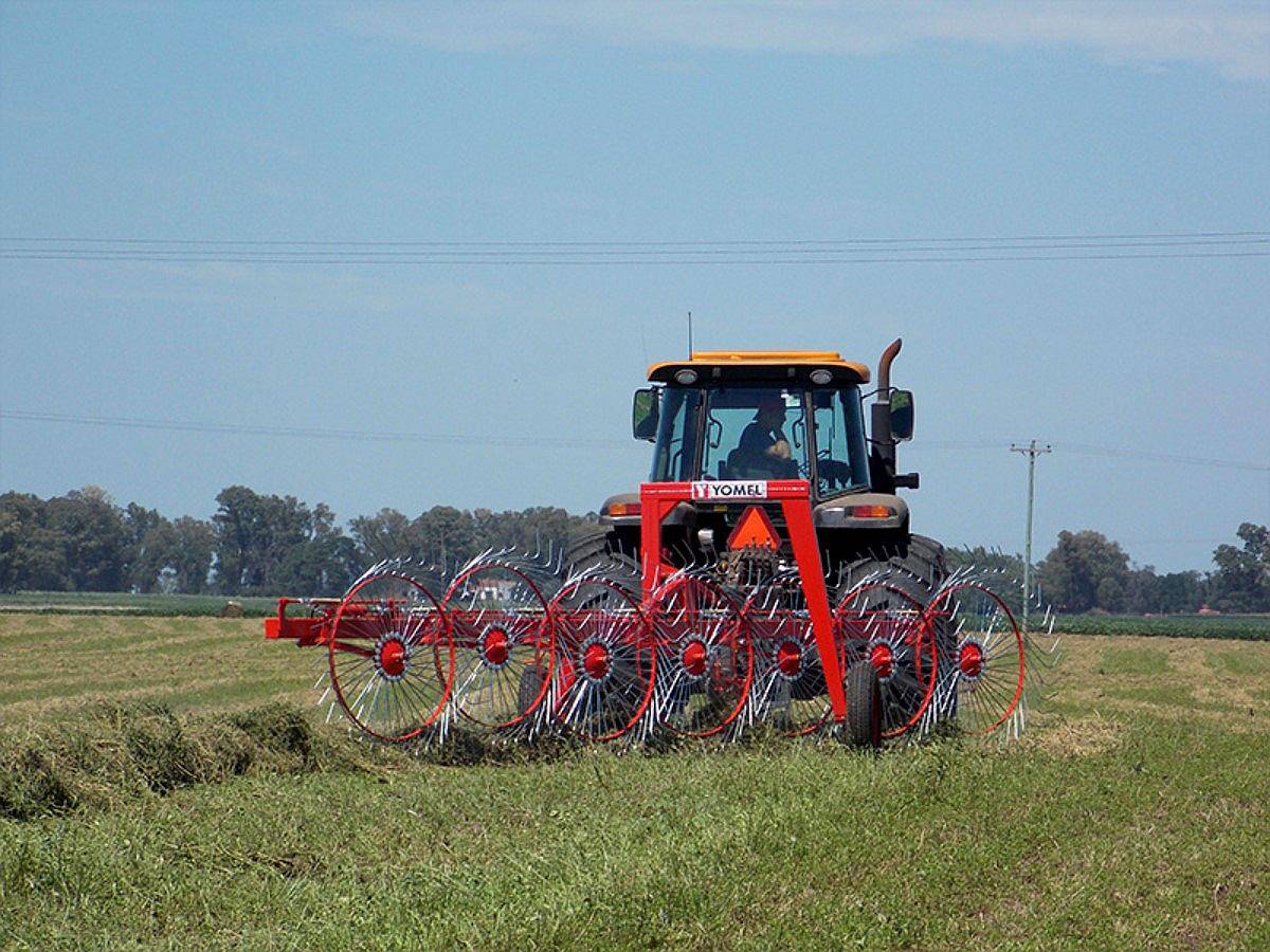 Rastrillo Lineal HR 7 Marca Yomel - Año: 2018 - Agroads