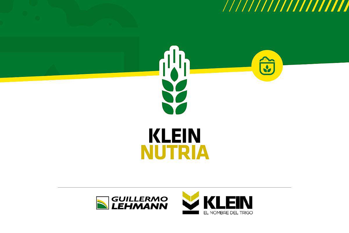 Klein Nutria - Variedad de Trigo Klein - Semillas - Agroads