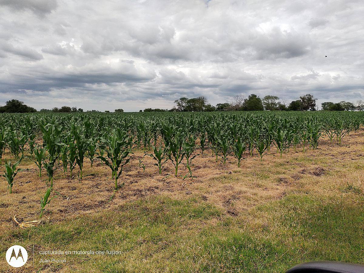 Chacra de 8 Has en Venta. Gualeguaychu - u$s 48.000 - Agroads