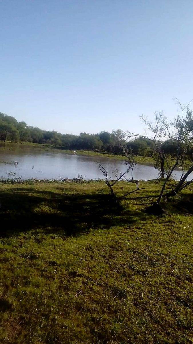 Vendo Campo Alcaraz Entre Rios - u$s 3.100 / ha - Agroads
