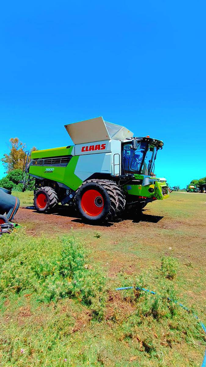 Claas Lexion 7600 año 2023. Draper 42 Pies. 3000 Hs - Agroads