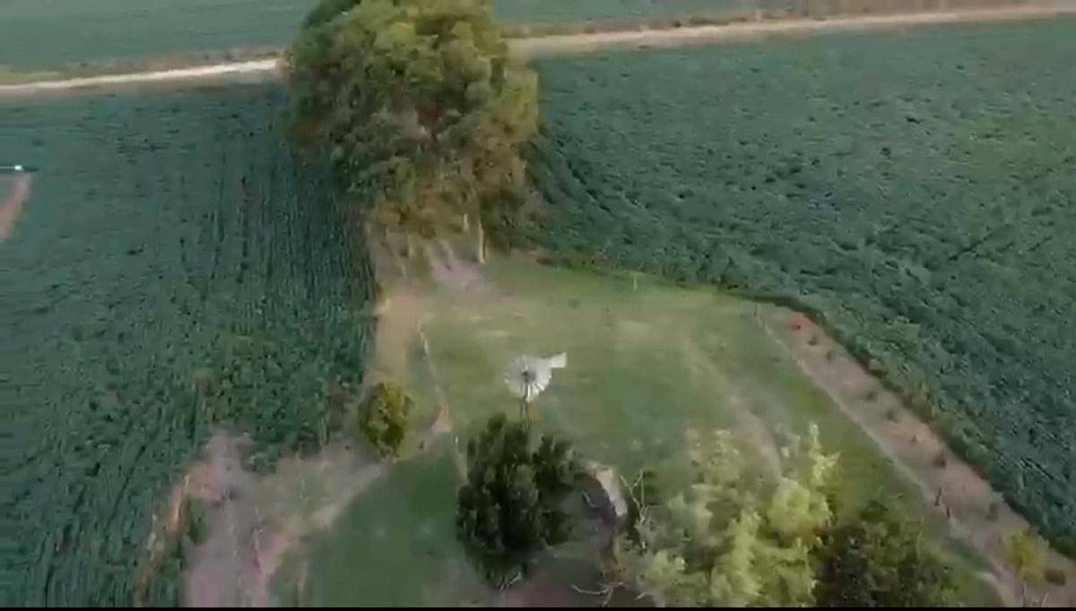 Campo Agrícola en Pergamino - u$s 12.000 / ha - Agroads