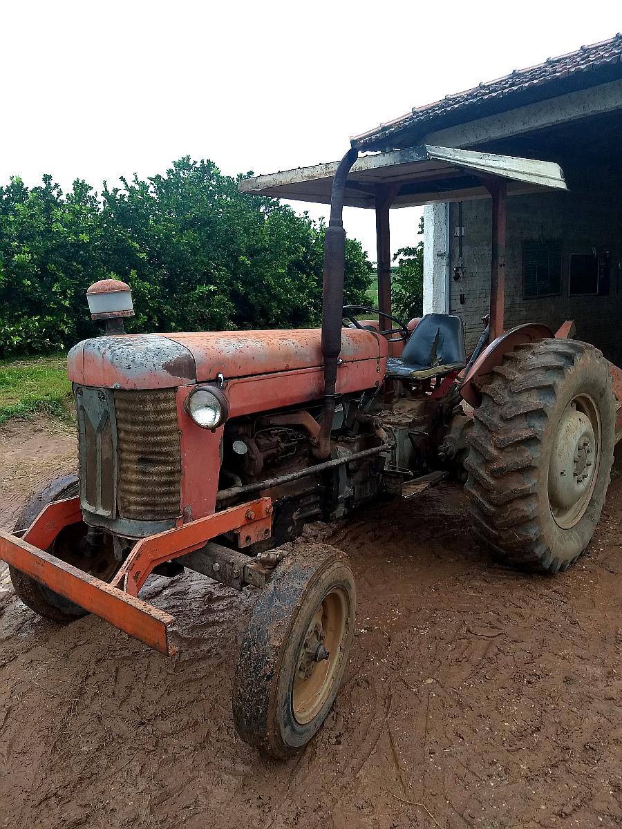 Tractor Massey Ferguson 65x ANO 1.975 - 65 HP - Año: 1975 - Agroads ...