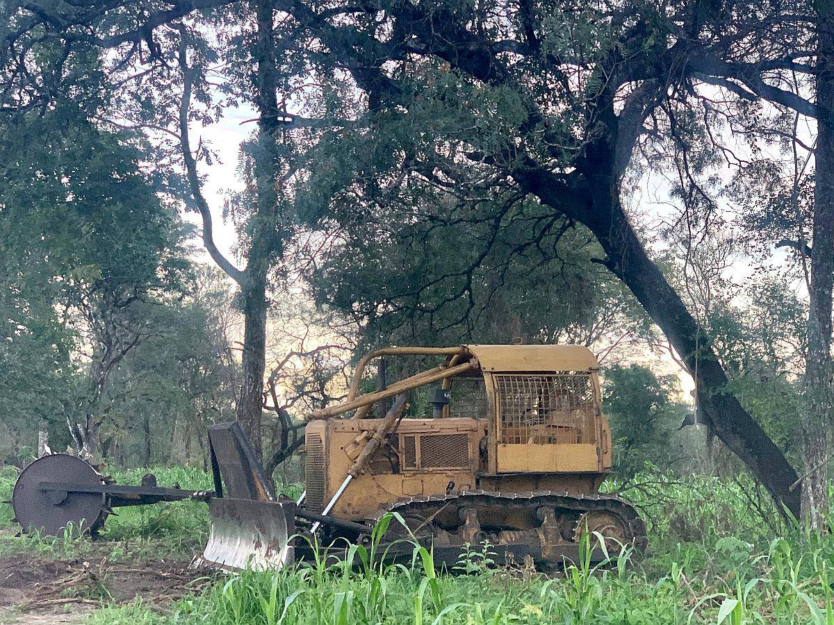 Topadora+rolo Caterpillar D6 C - Año: 1980 - u$s 47.500 - Agroads