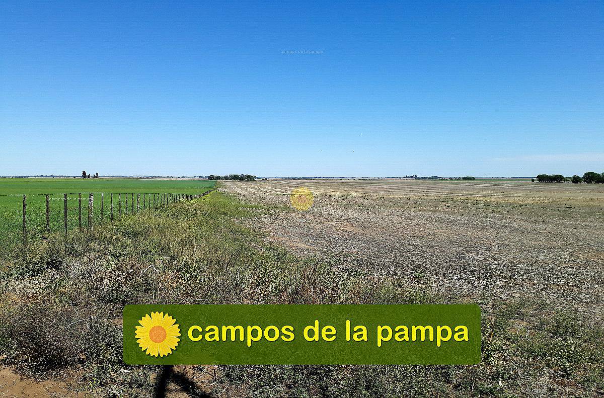 La Pampa - Venta Campo Agricola de 1.000 Hectareas. 1000 hectáreas ...
