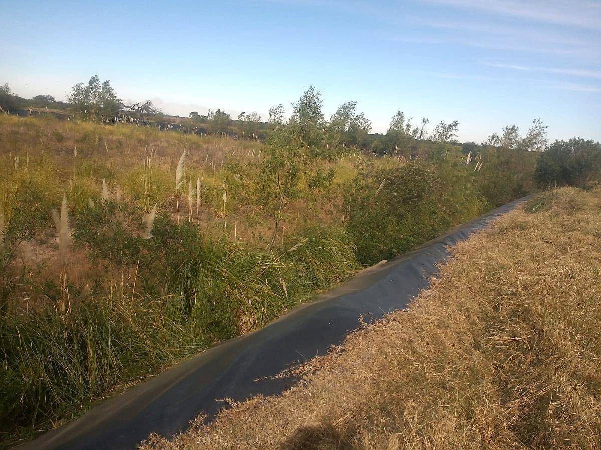 Estancia de 2500 Hectareas - u$s 3.000 / ha - Agroads