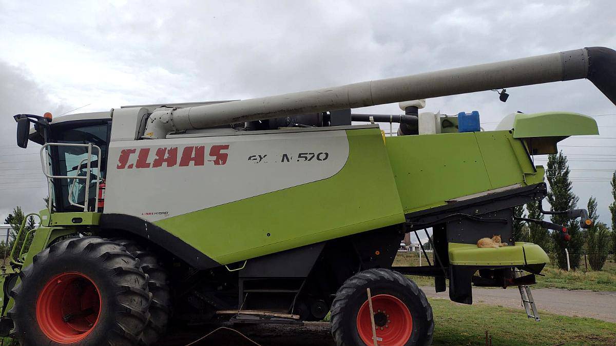 Claas Lexion 570, 4x4, 35p - Año: 2009 - u$s 260.000 - Agroads
