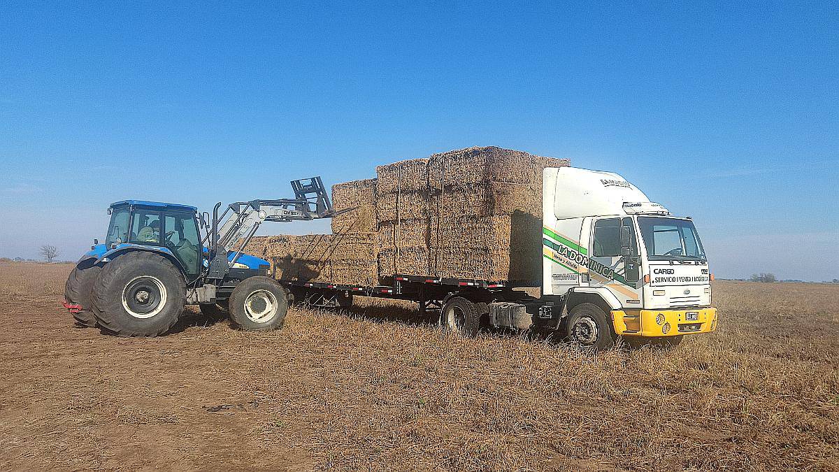 Transporte de Rollos y Megafardos - Agroads