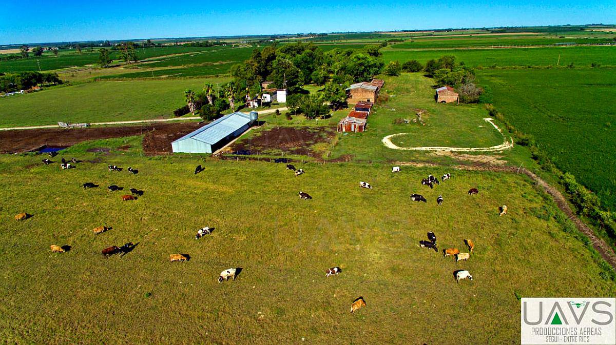 Chacra de 50 Hectareas Sobre Ruta con Casa y Galpones - Agroads