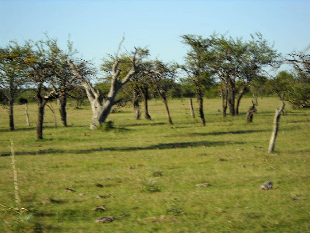Entre Rios, Federal Alquilo 1000 Has Ganaderas - Agroads