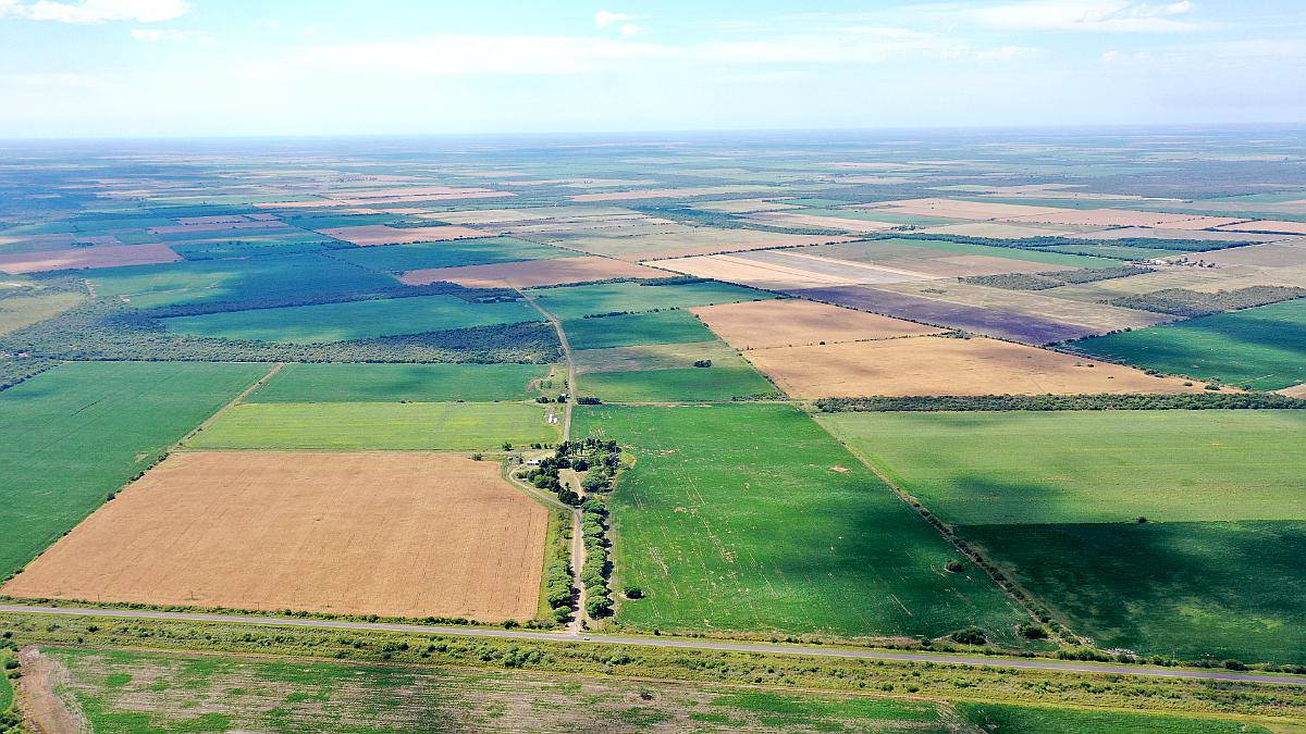 835 Has Campo 85% Agrícola Sobre Ruta en Entre Rios. 835 hectáreas ...