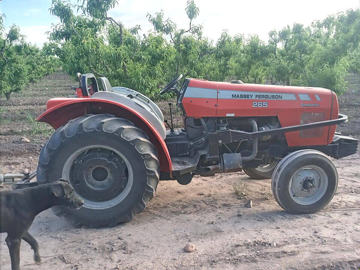 Massey Ferguson 265 2008 Viñatero - Año: 2008 - u$s 20.000 - Agroads