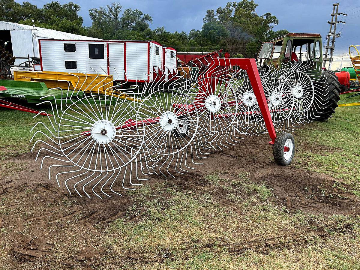 Rastrillo Mainero de 6 Estrellas - Año: 2018 - $ 475.000 - Agroads