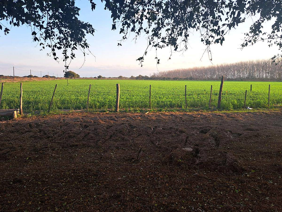 Campo Agricolas SGO del Estero - u$s 2.500 / ha - Agroads