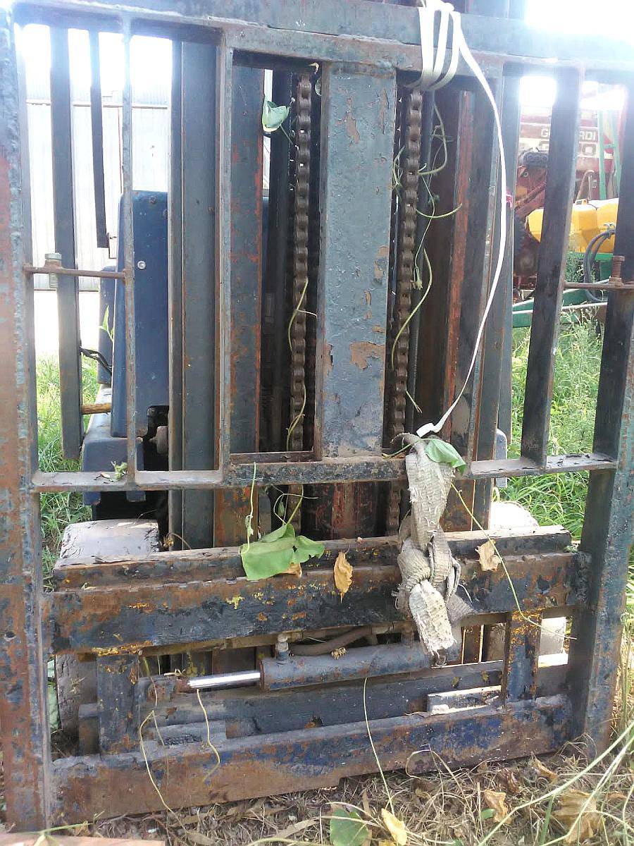 Autoelevador Clark Torre 3 Tramos - Agroads