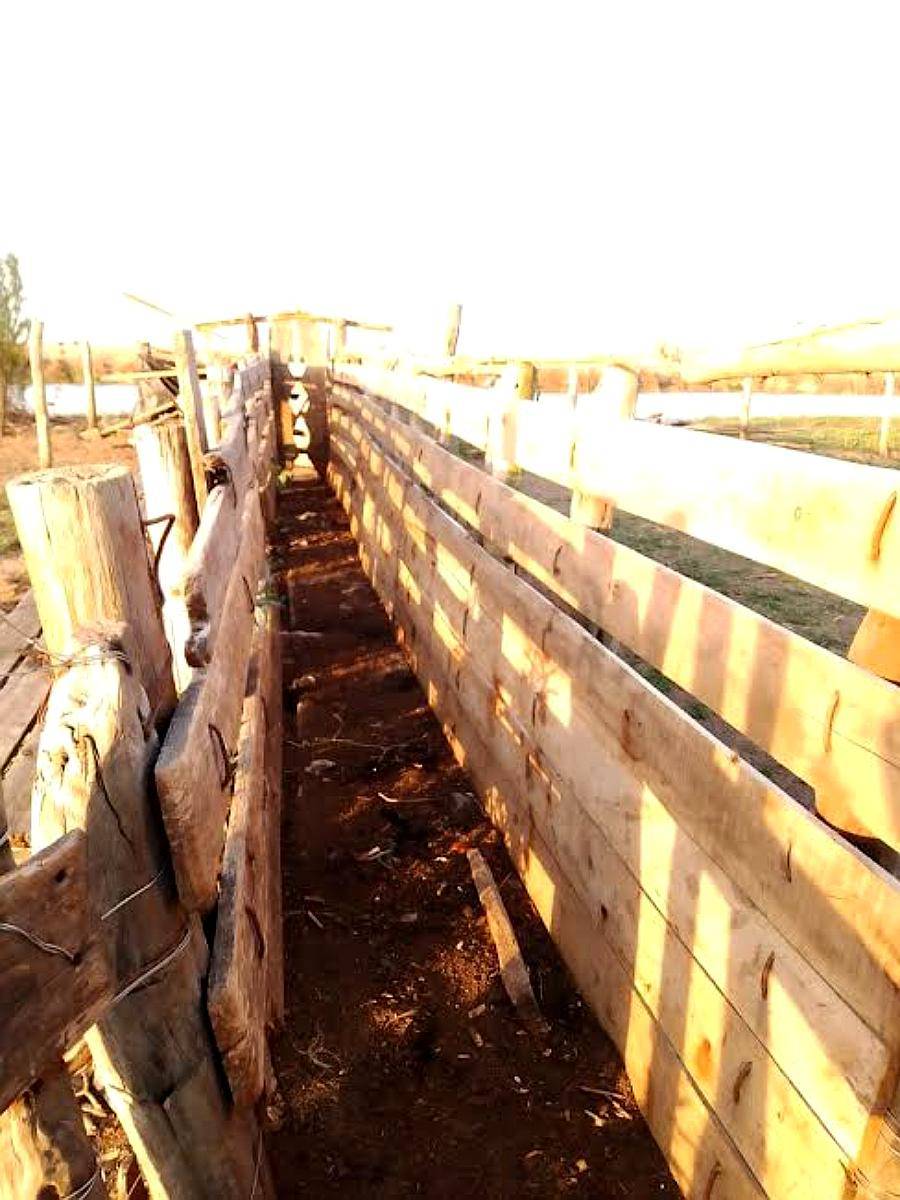 Islas Vendo Victoria E. Rios 550 - 1000 - 2000 Hectareas. 1000 ...