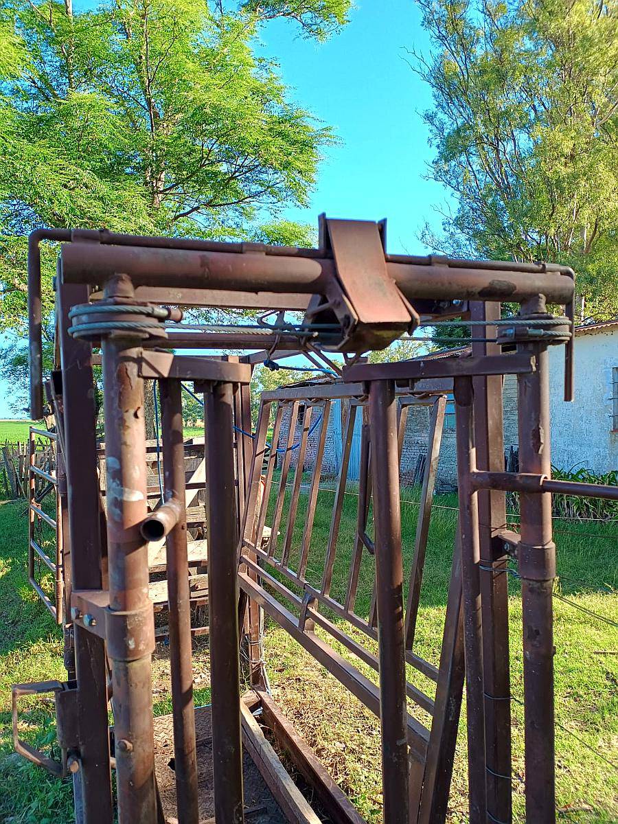 Balanza + Brete de Inseminación - u$s 4.800 - Agroads