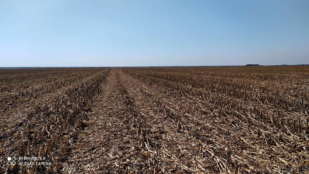 Vendo Campo en Quimili, Santiago del Estero - Agroads