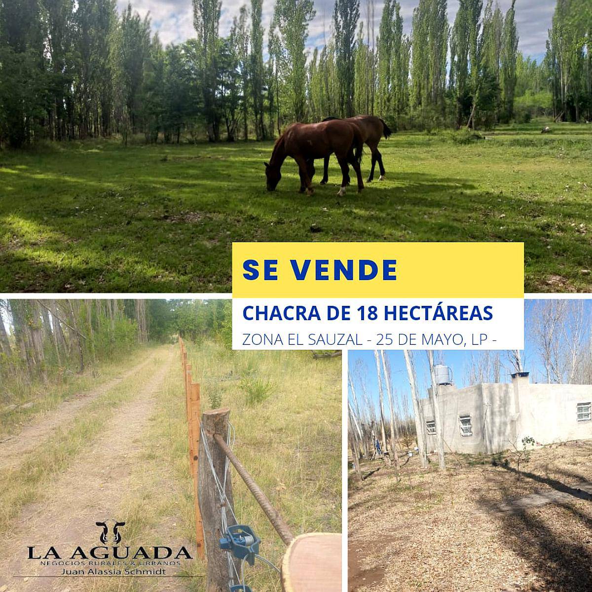 Chacra de 18 Hectareas - $ 2.500.000 - Agroads