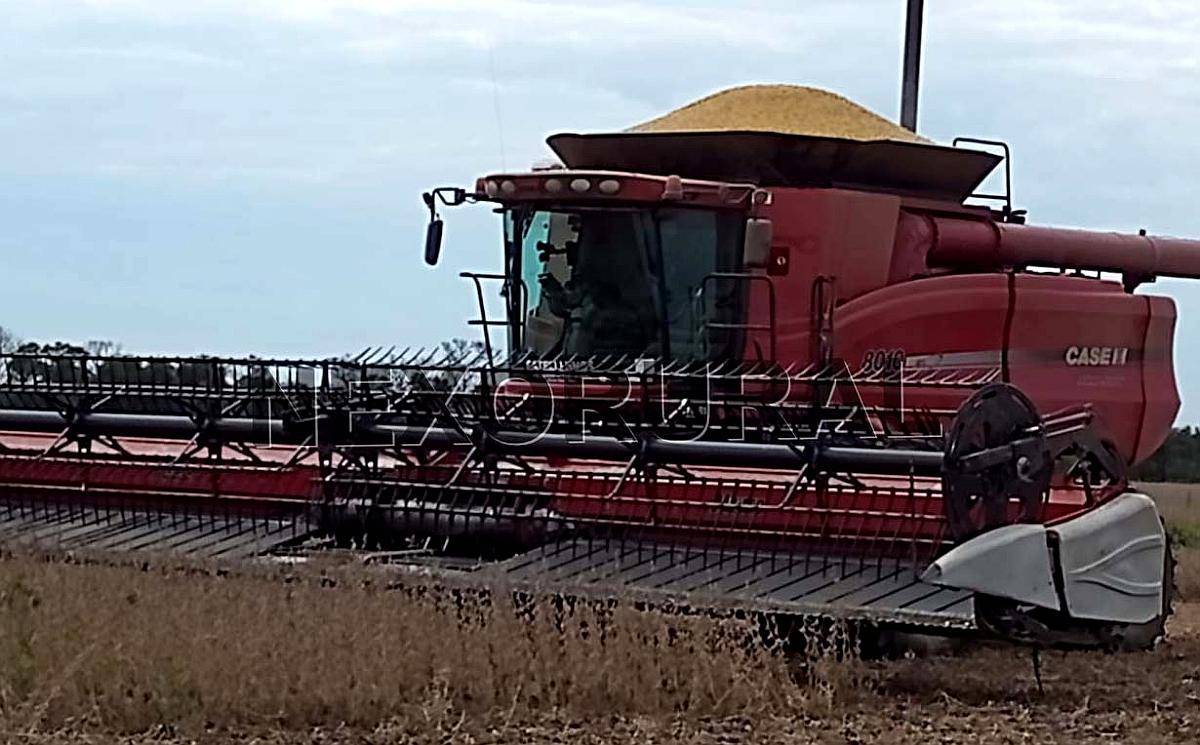 Case 8010, 2009, 7000/9800, Duales DT, Drapper 40 Maizco - Agroads