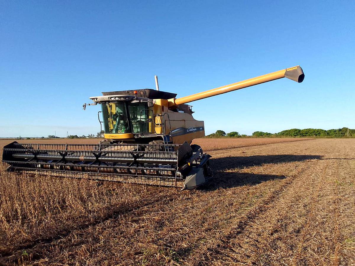 Cosechadora Challenger 660 Mod 2011 - Año: 2011 - Agroads