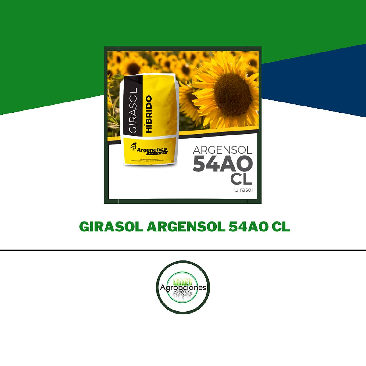 Semilla de Girasol Argensol 54 AO CL - Argenetics - Agroads