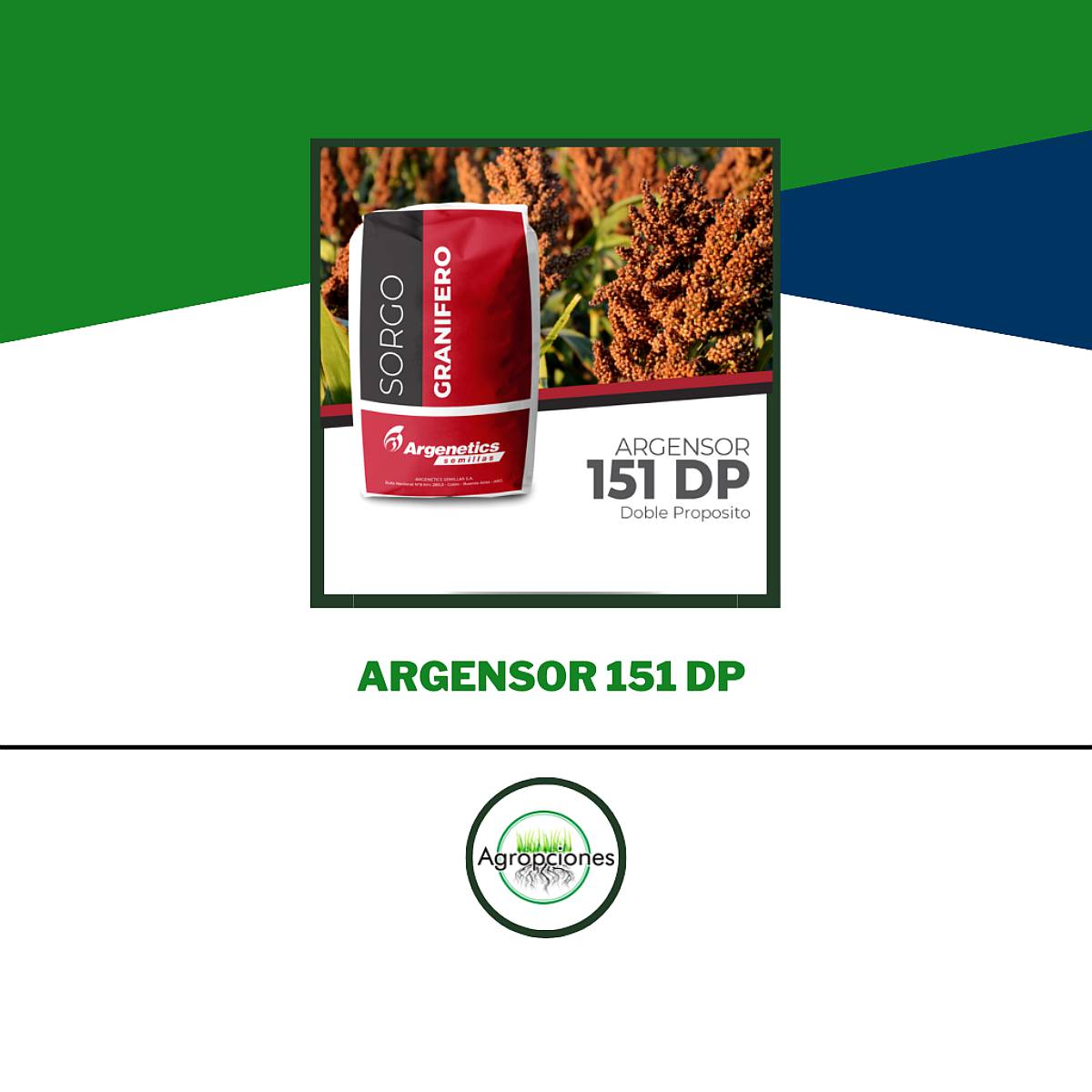 Semilla de Sorgo Argensor 151 DP - Agroads