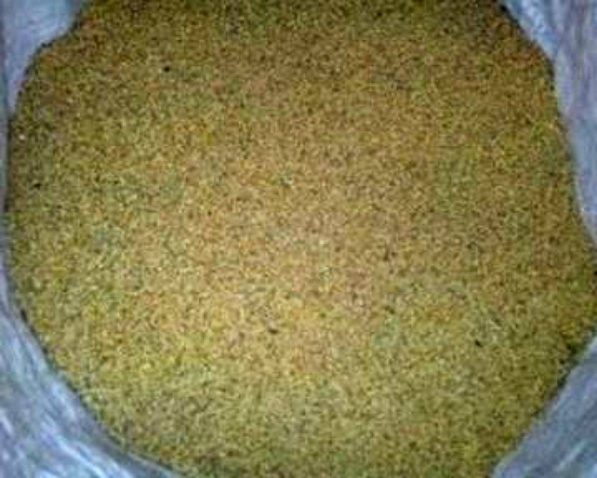 Compramos Moha (semilla y Consumo) - Agroads