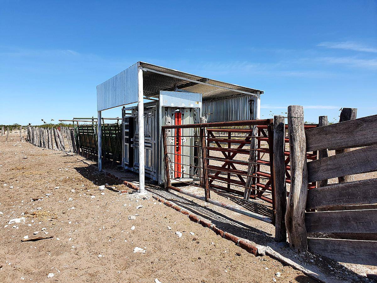 Campo de Cria y Recria, Cerca la Humada, Chicalco, la Pampa - Agroads