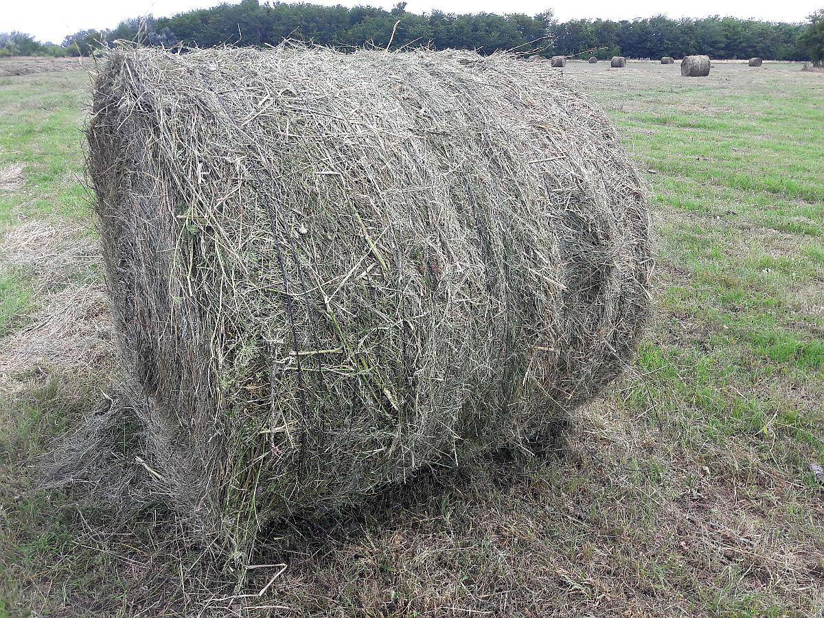 Rollos de Pastura Grandes - $ 30.000 - Agroads