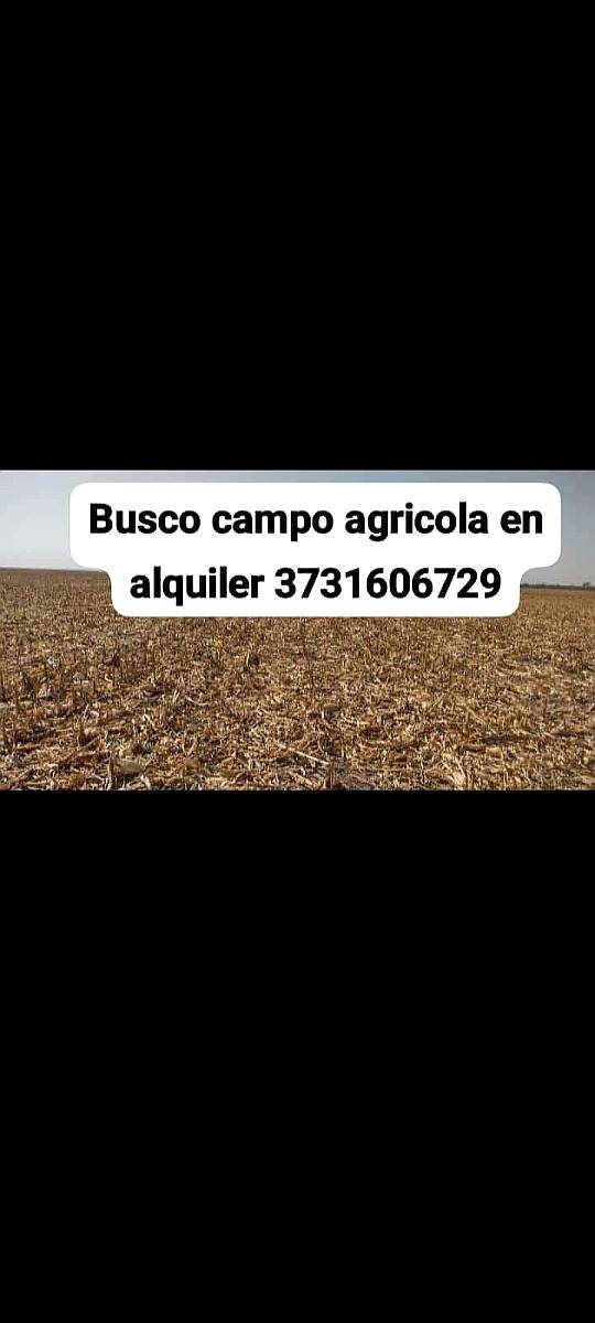 Busco Campos Agrícolas en Alquiler Resolución Inmediata - Agroads