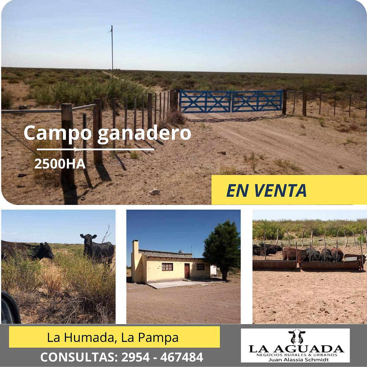 Campo Ganadero, la Humada la Pampa - u$s 130 / ha - Agroads