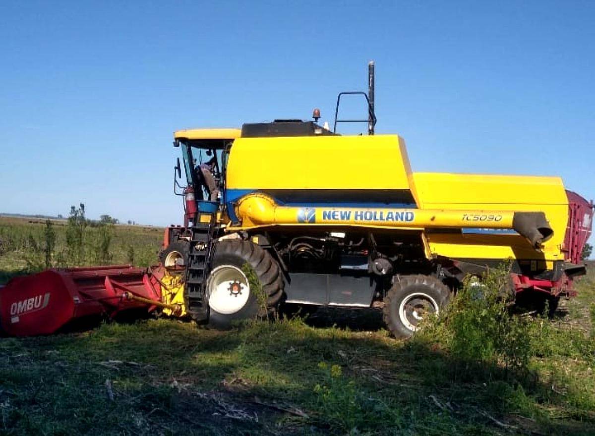 Cosechadora New Holland TC 5090 - Año: 2018 - Agroads