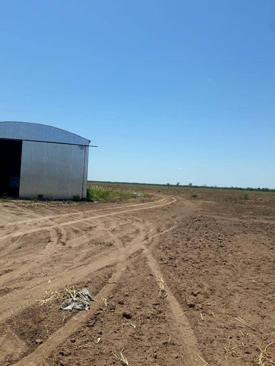 Campo Agrícola - Sachayoj - Santiago del Estero.- - Agroads