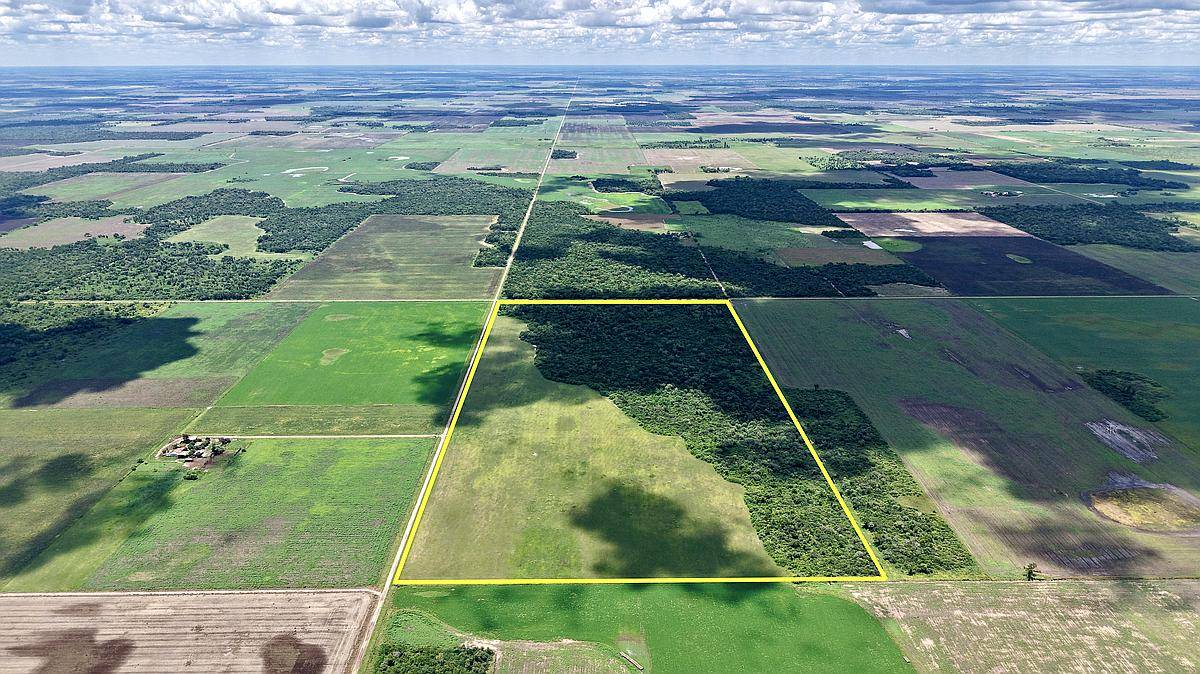 50 Has en Venta - Pcia del Chaco, las Breñas. 50 hectáreas. - Agroads