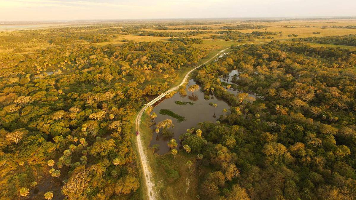 Venta de Campo en Formosa - u$s 1.000 / ha - Agroads