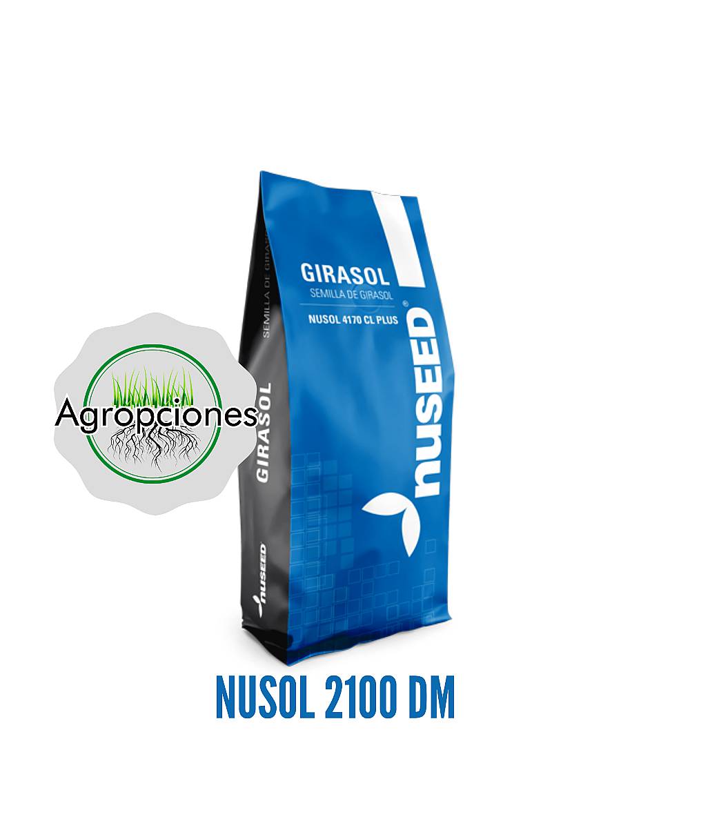 Semilla de Girasol Nusol 2100 DM - Nuseed - Agroads