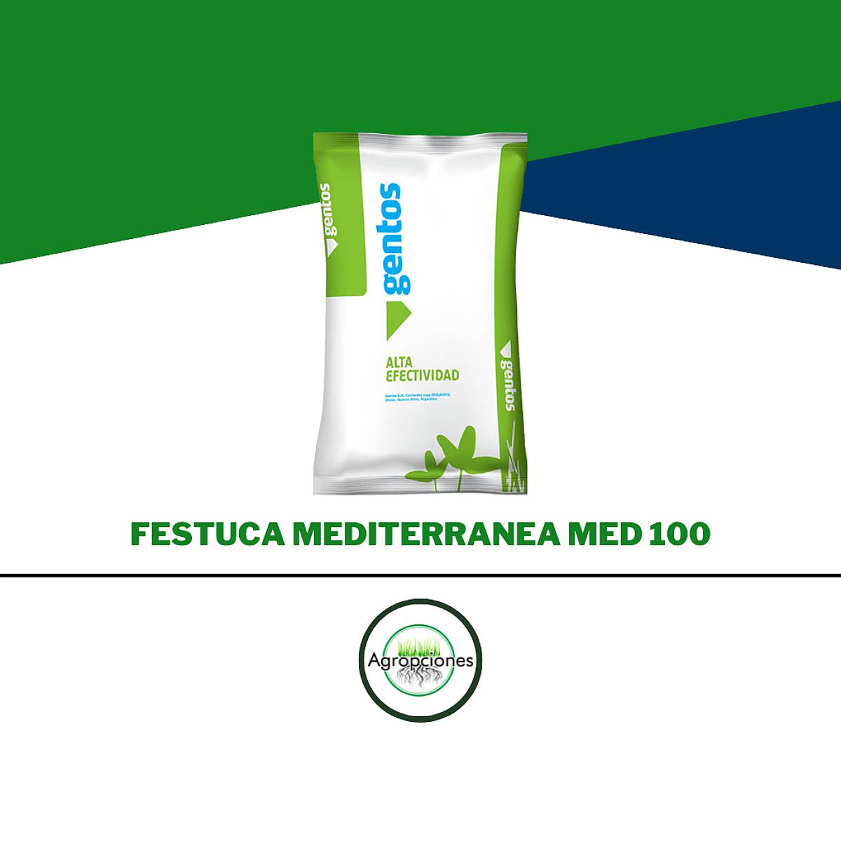 Semilla de Festuca Mediterranea MED100 - Gentos - Agroads