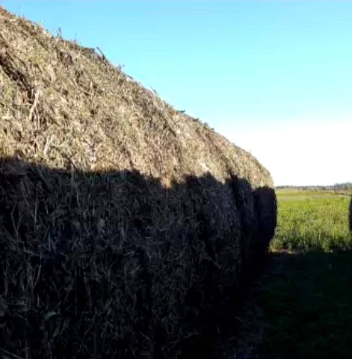 Rollos de Forraje Soja - $ 13.000 - Agroads