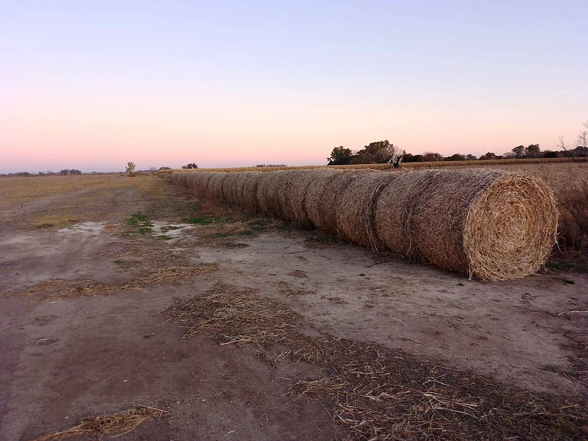 Rollos de Rastrojo de Soja - Agroads (cod: 863731)