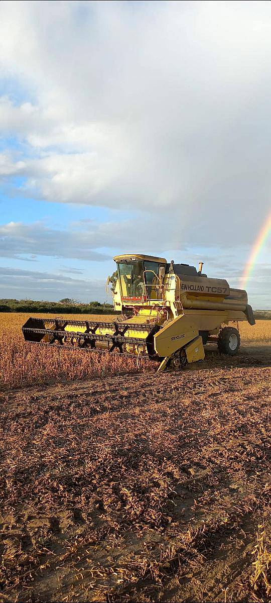 Cosechadora TC 57. año 2004. Plataforma de 23 Pies. - Agroads