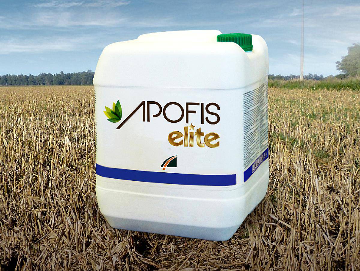Apofis Elite Herbicida - Cletodim 24% EC - Agroads