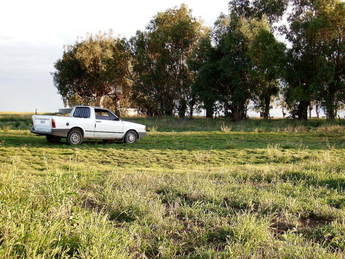 123ha en Rivera Buenos Aires 83 Agricolas 40 Ganaderas - Agroads
