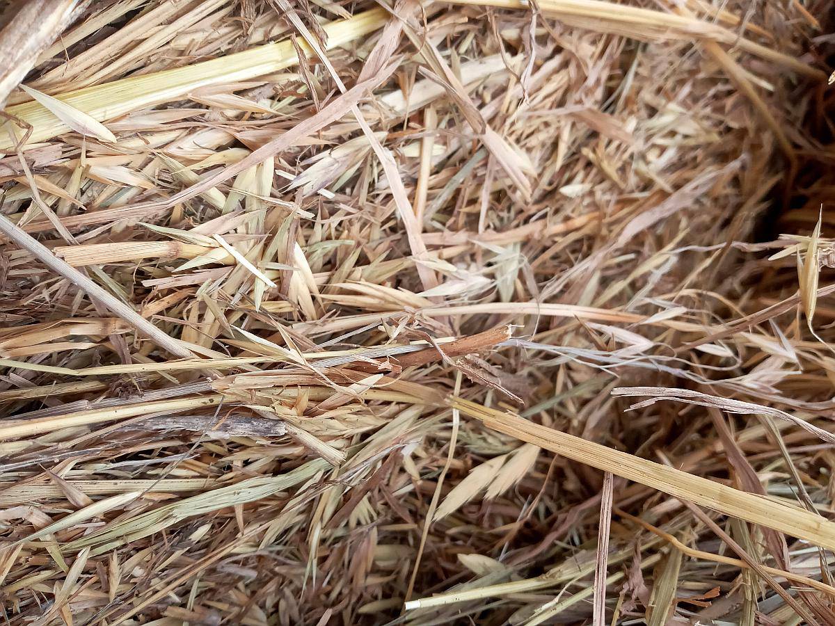 Rollos de Pastura . - $ 50 - Agroads