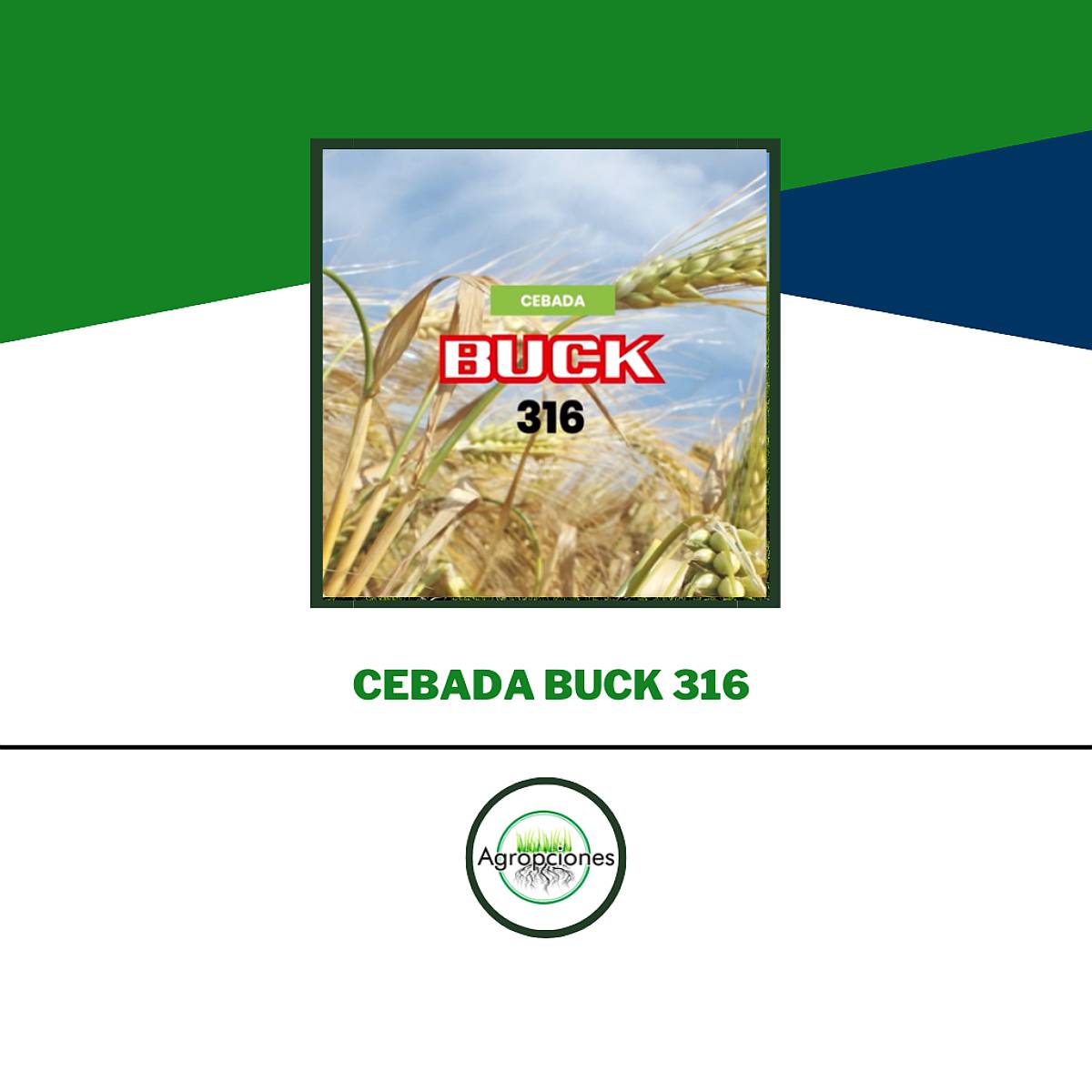 Semilla de Cebada Forrajera Buck 316 - Agroads