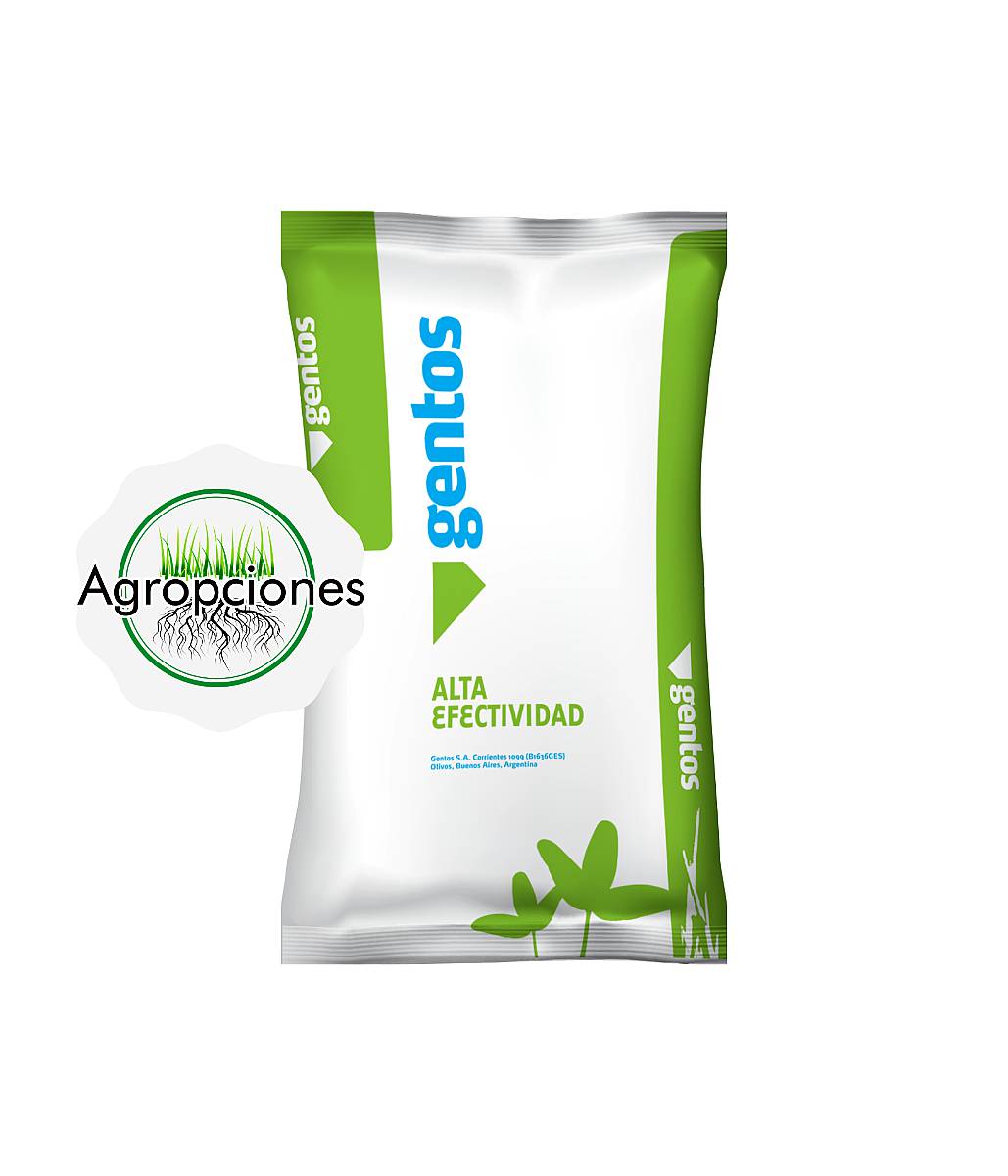 Semilla de Festuca Mediterranea MED100 - Gentos - Agroads