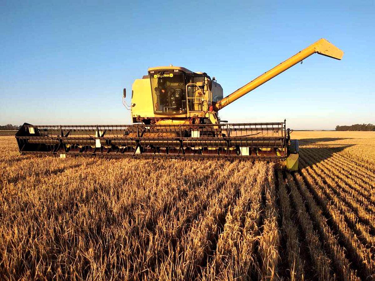 En Venta Cosechadora New Holland TC 59 - u$s 60.500 - Agroads