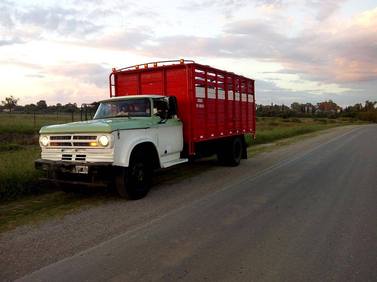 Dodge 800 año 1978 - Año: 1978 - $ 1.620.000 - Agroads