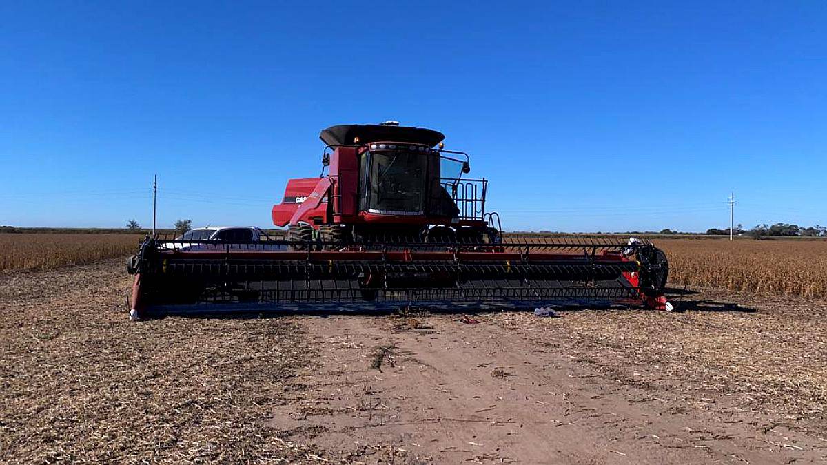 Plataforma Case Draper de 35 Pies. año 2020. - Año: 2020 - Agroads