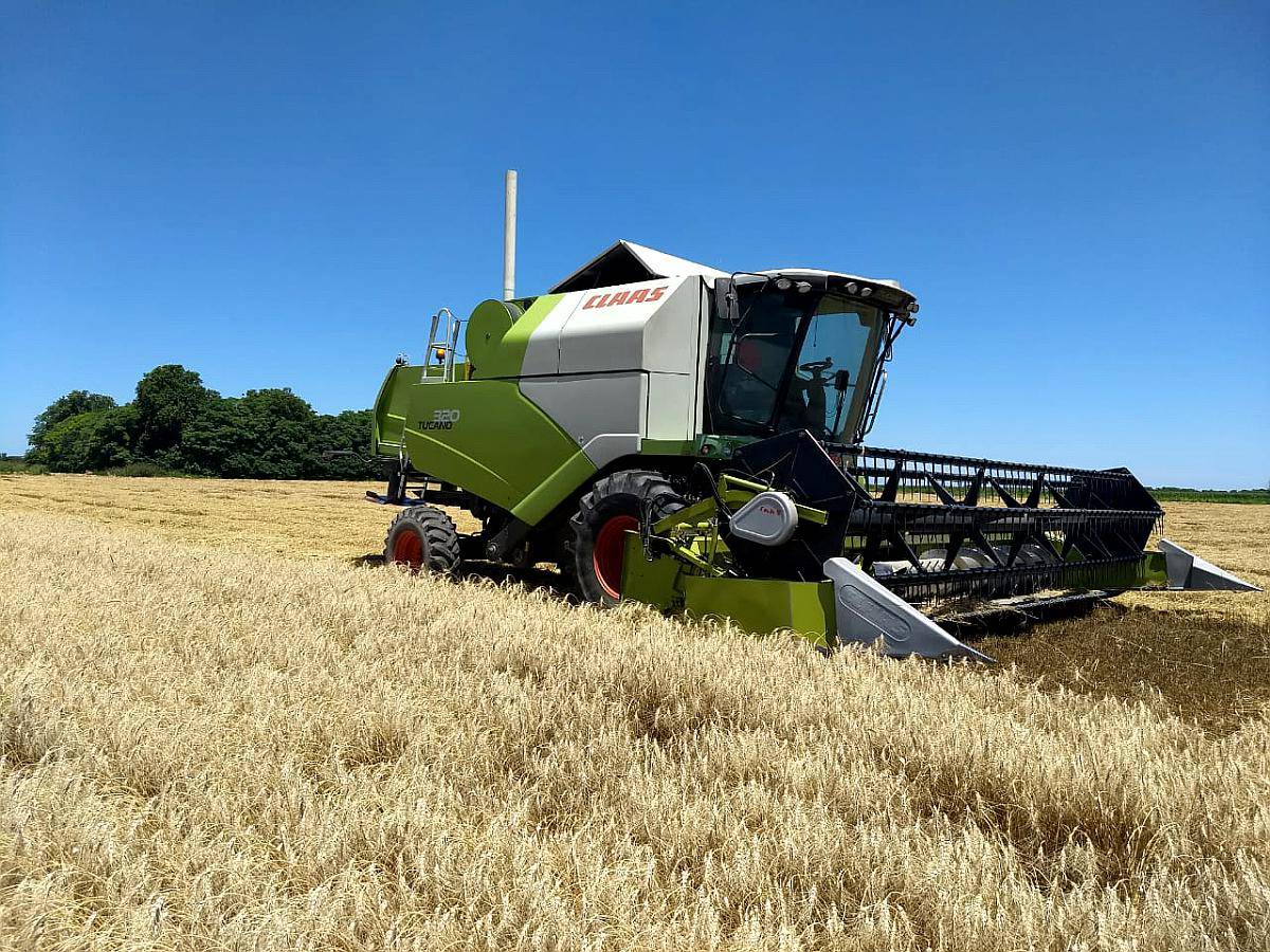 Cosechadora Claas Tucano 320 - Año: 2009 - Agroads
